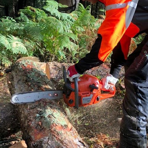 Chainsaw & Groundcare Training Courses | Contour Training Ltd