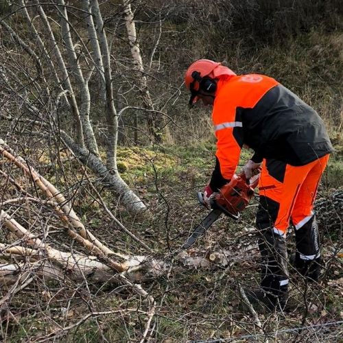 Chainsaw & Groundcare Training Courses | Contour Training Ltd